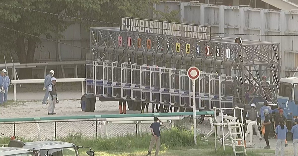 11/3船橋競馬と闘うnote:JBC等適宜参戦パドック後予想｜馬人all the people