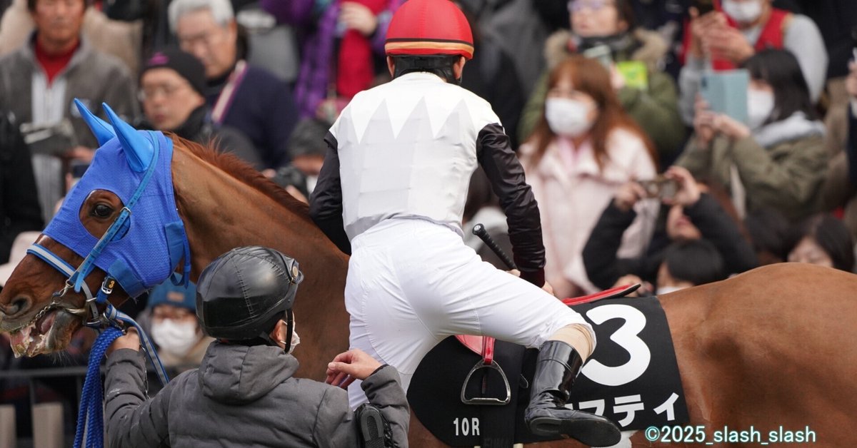 AI競馬予想 // 2025_1108｜slash_slash