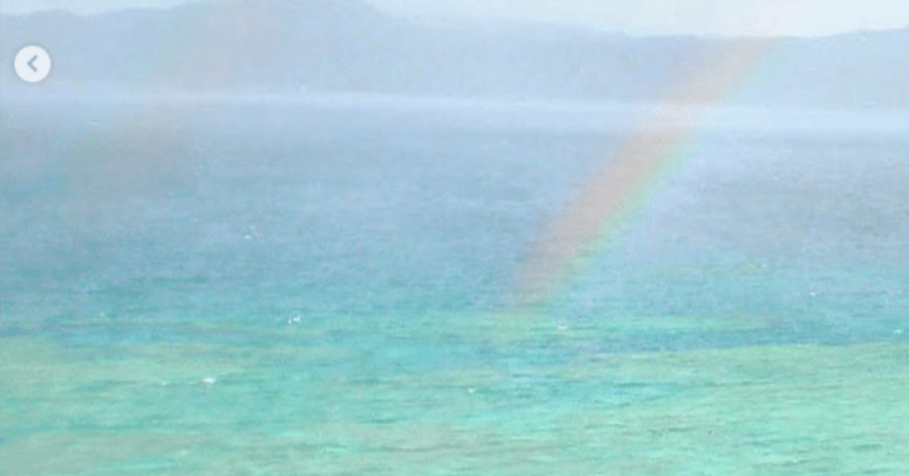 USCPA FAR 約7ヶ月間で一発合格！ 振り返り｜Hein