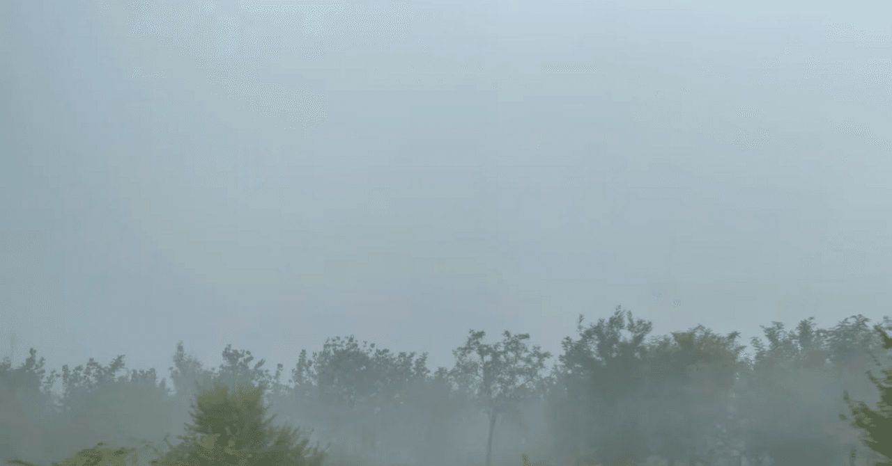 社会主義、共産主義に触れる。｜Takaoと ChatGPT