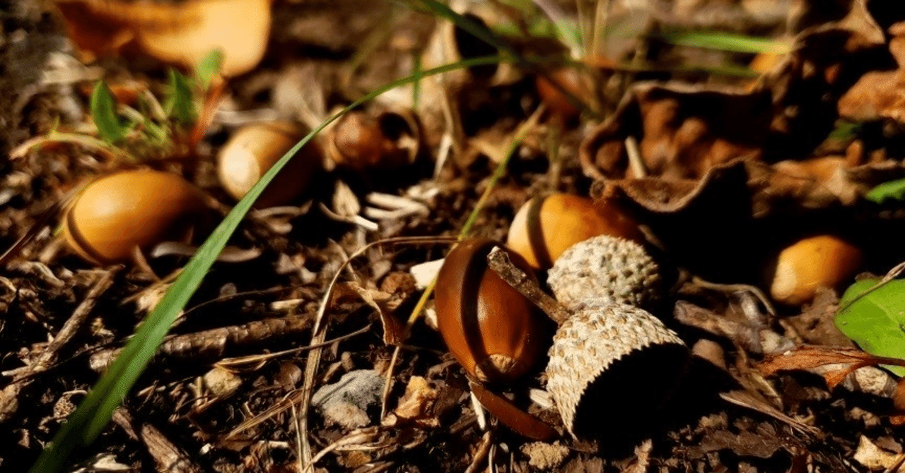 もう知りたくない｜Kohei Sasaki