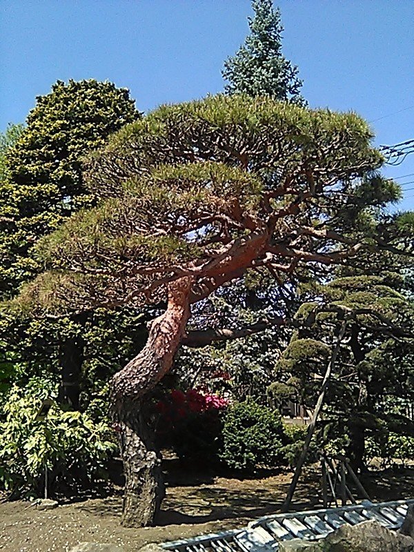 3コマ(+一曲）：three Photos and one Track Manga｜moOog yamamOTO