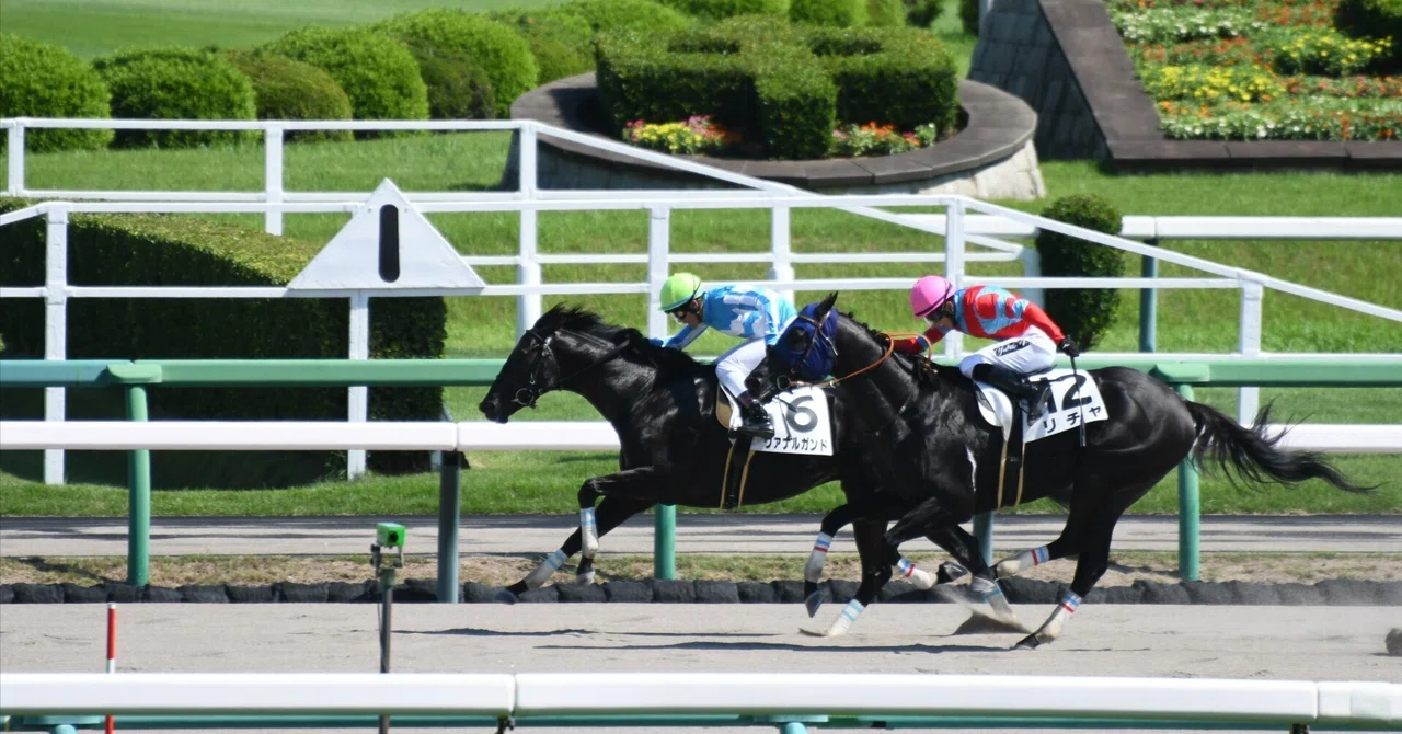 ノルマンディーオーナーズクラブ 2025募集馬(2024年産)AI馬体診断｜Koji Maeda
