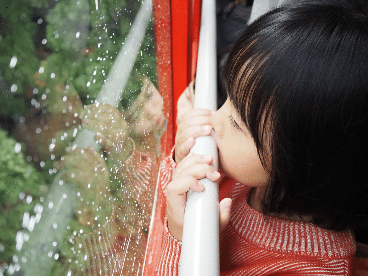 【OLYMPUS PEN E-P7】城崎温泉へいってきました♨️|カメラ上手くなりたいおかん｜saori