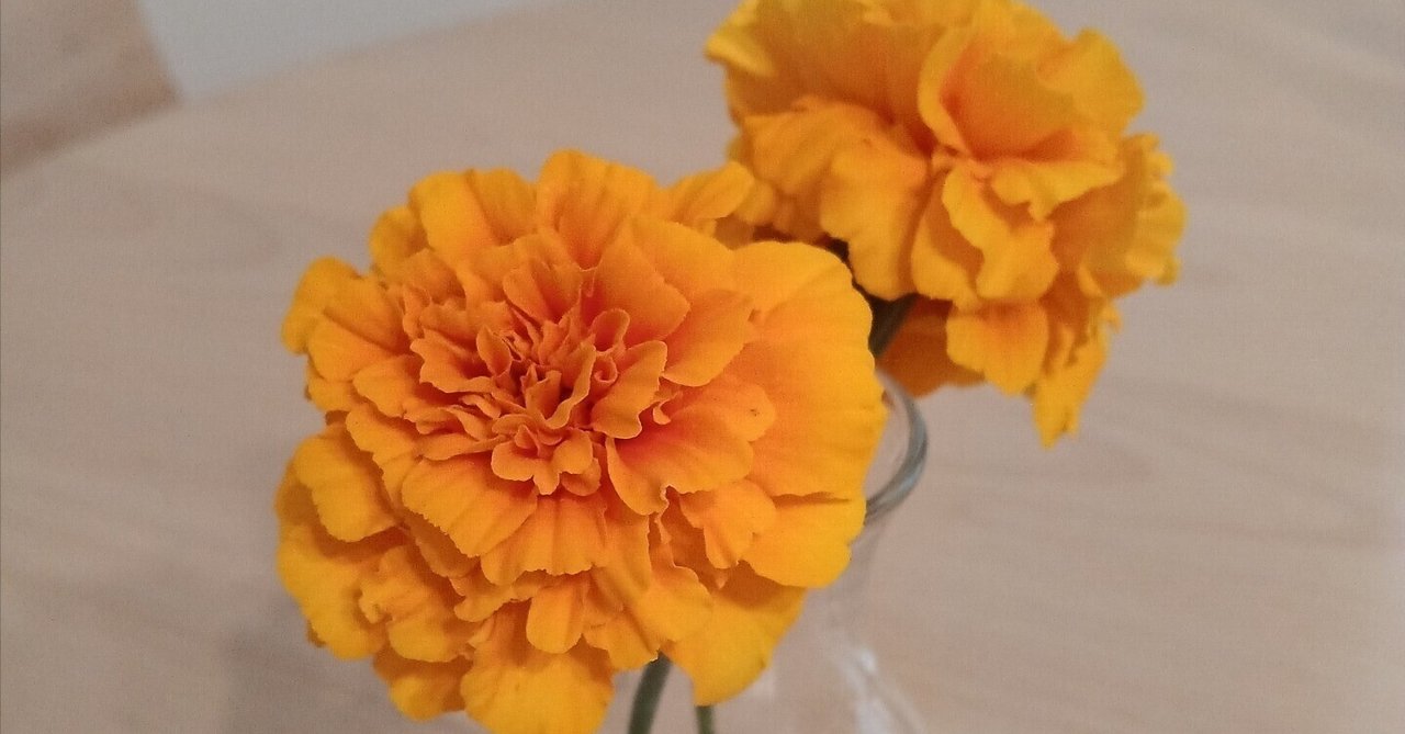 DINKSの意味に含まれる範囲｜Risaの徒然日誌