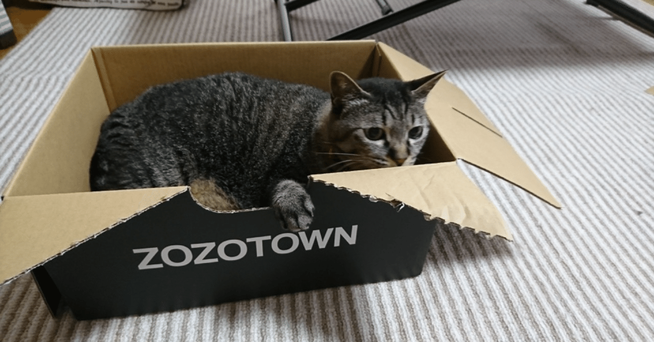 ZOZO転職を成功させた俺が教える｜年収・選考の全てを暴露｜すい先生 | 4社転職