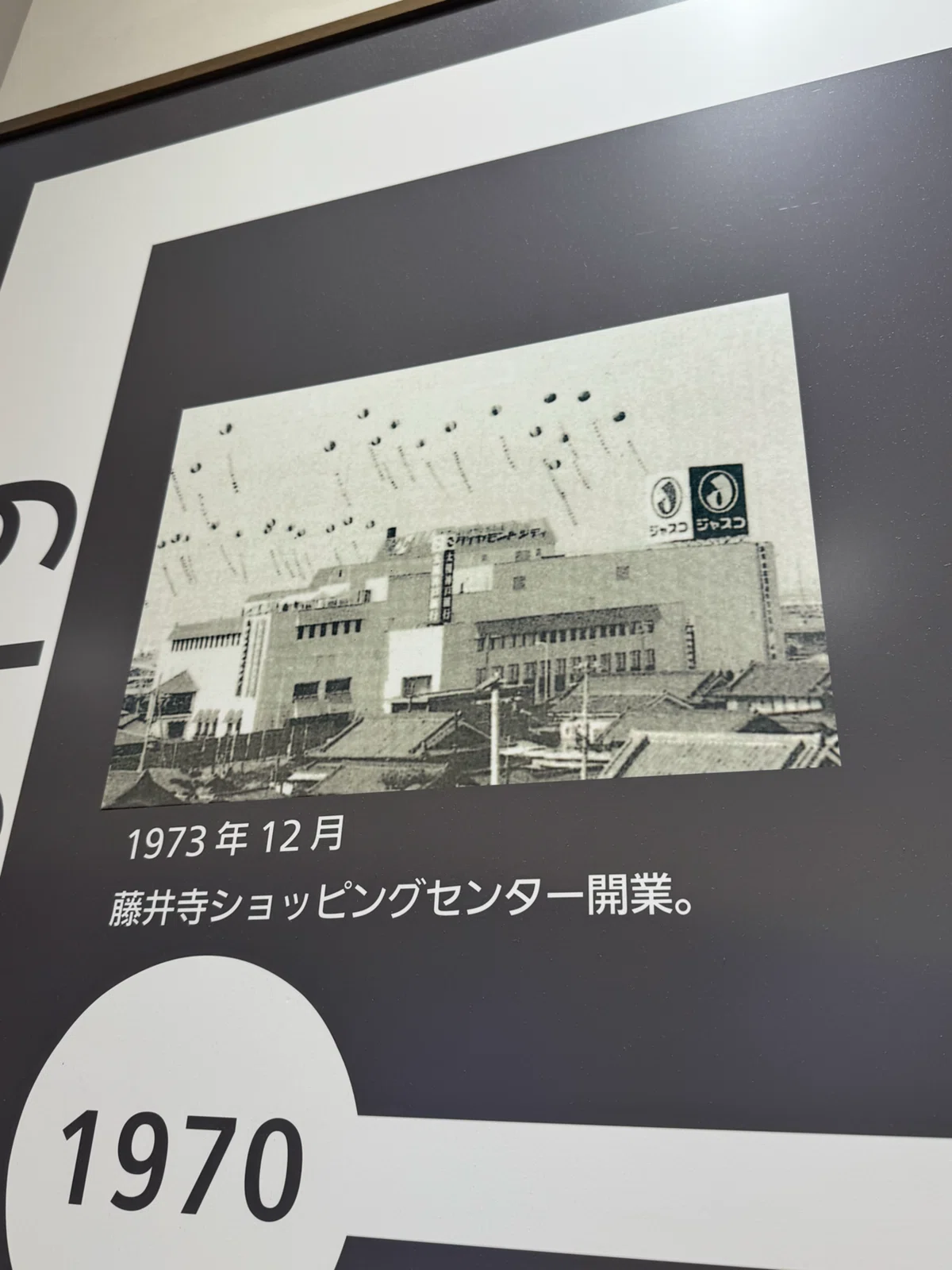 [2025] Summer Commercial Facility Railway Trip Part 2: Fujiidera ...