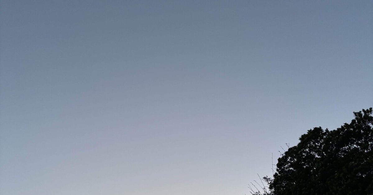 日記┊11/3~11/5┊日々ご自愛日記｜Shaki