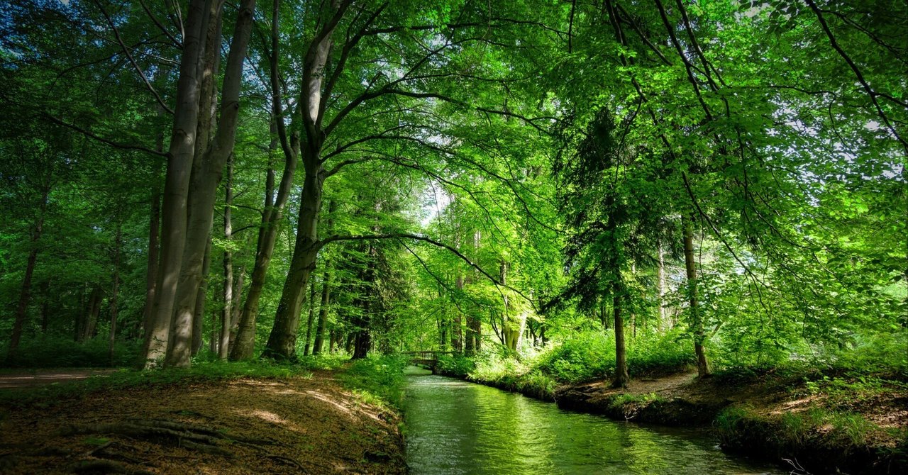 The Summer Hikaru Died ep2｜ゆるふわ Eigo Lab