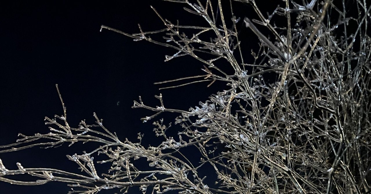 軽井沢風越学園に通う子どもの学力と、家庭の力｜karuizawa_iju
