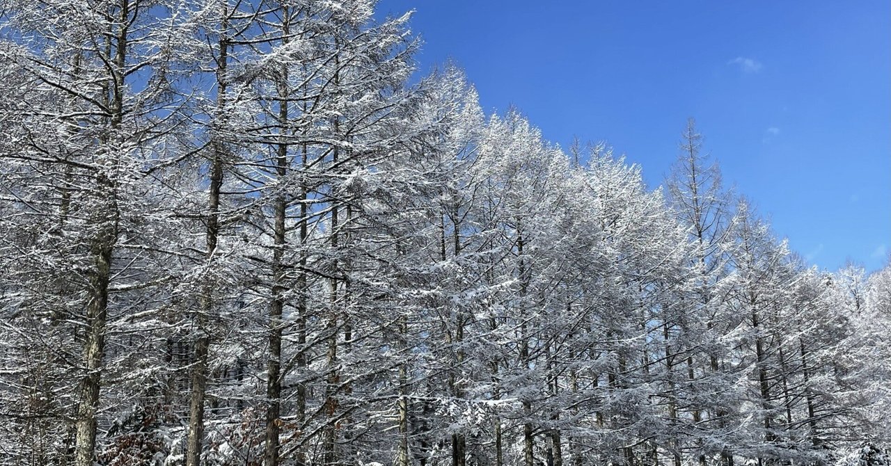 軽井沢風越学園におけるいじめ、ケンカ、暴力の対応｜karuizawa_iju