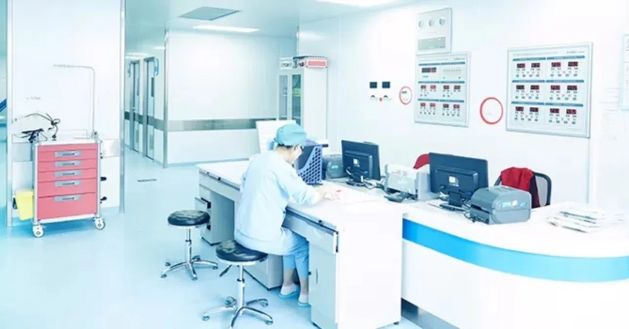 How Umbilical Cord Stem Cell Transplants Work｜jdetyy