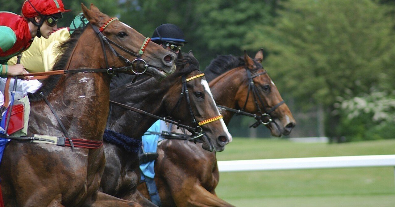 11/7 名古屋競馬 推奨穴馬（3R 6R 7R 12R）｜てけ