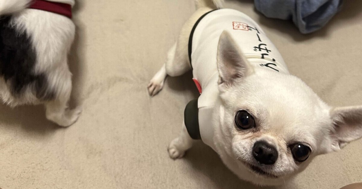 11W5D メンタルジェットコースター｜AI