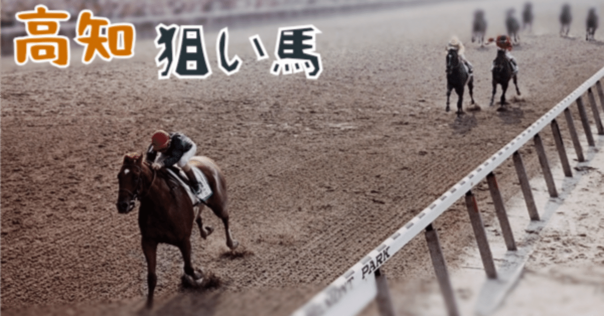高知競馬 狙い馬 2025.11.9（日）｜ウハウマ 穴馬候補×3【中央競馬と南関競馬と園田・姫路and more…】
