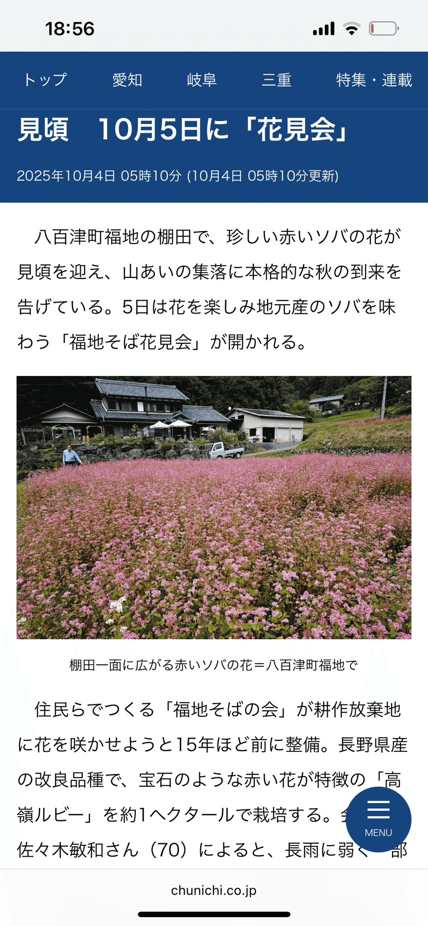 福地そば花見会🌸サウナ体験とそれにまつわる光と影｜Kiidakeの森🌲