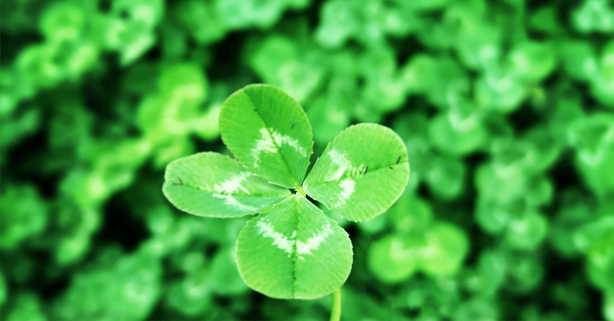 3行日記 小さな3つの幸せがとても大きな幸せに｜yolico