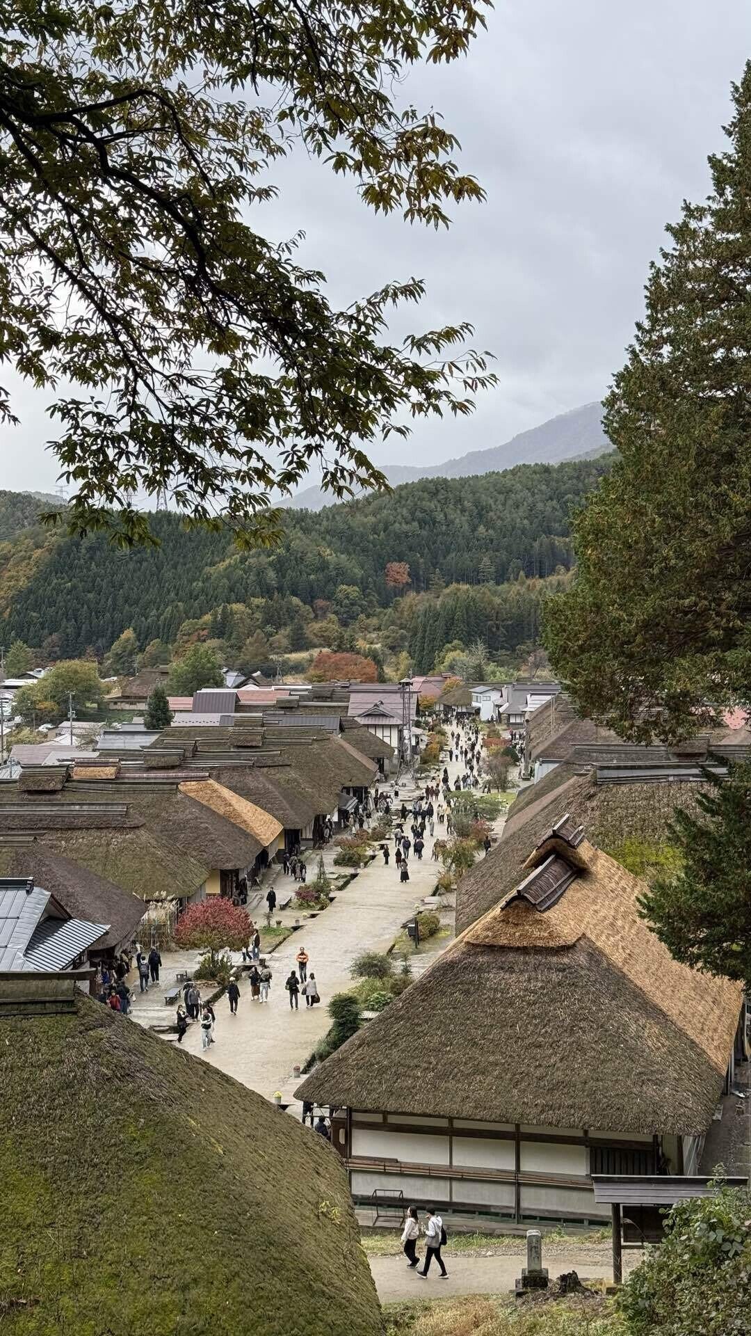 味噌、バニラアイス対応可｜karipo