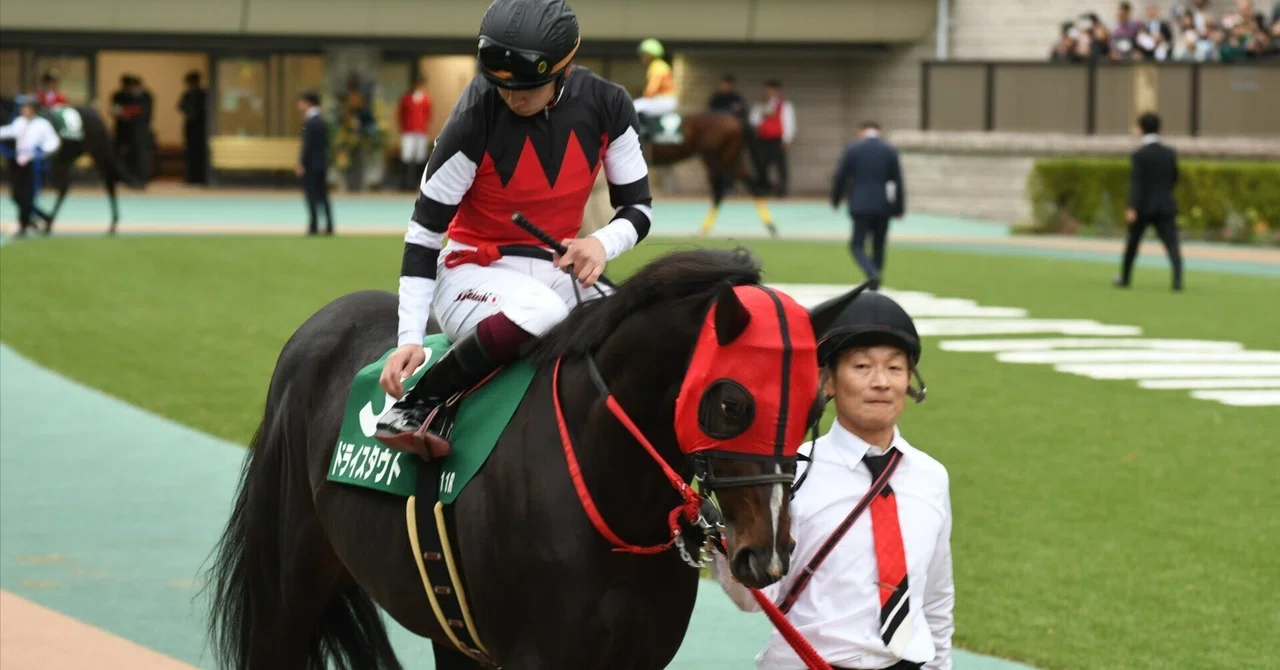 YGGオーナーズクラブ 2025募集馬(2024年産)AI馬体診断｜Koji Maeda