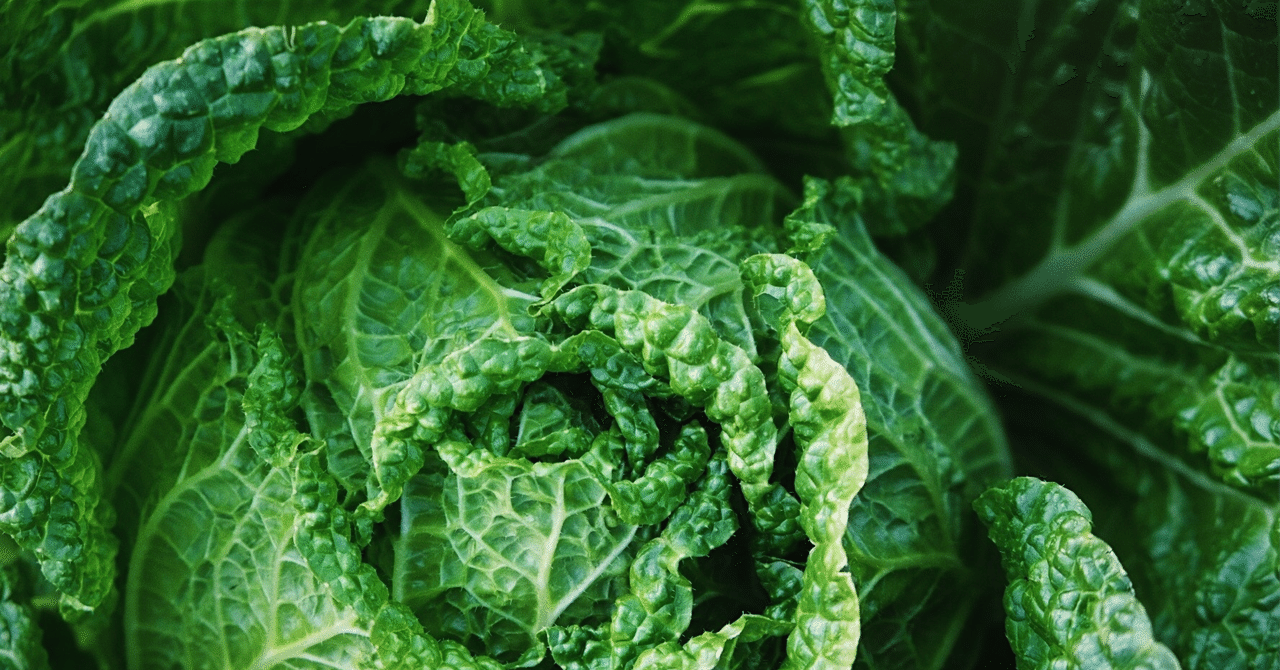 潰瘍性大腸炎の食事療法｜炎症をゼロにする食事、ホールフードの実践方法｜Dr. Nakao｜小児科医の論文ノート