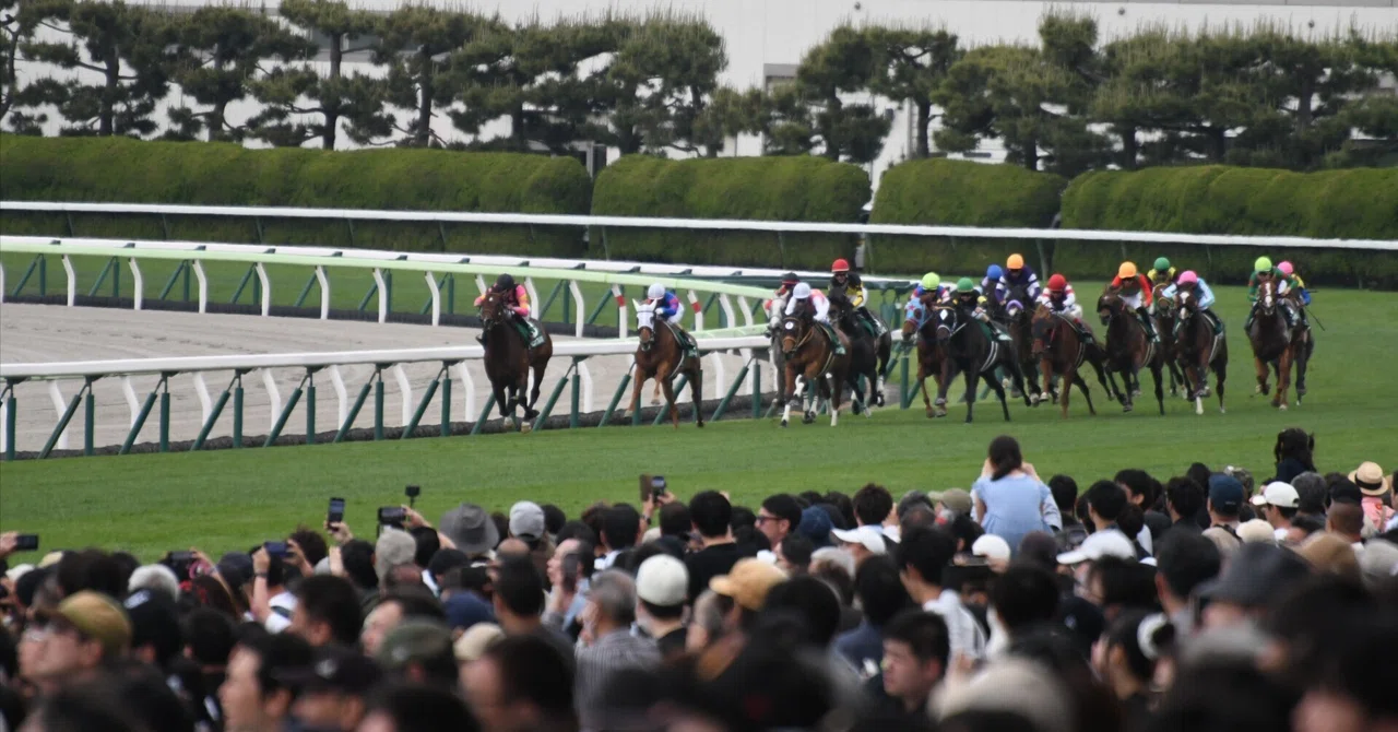 ロードサラブレッドオーナーズ 2025募集馬(2024年産)AI馬体診断｜Koji Maeda