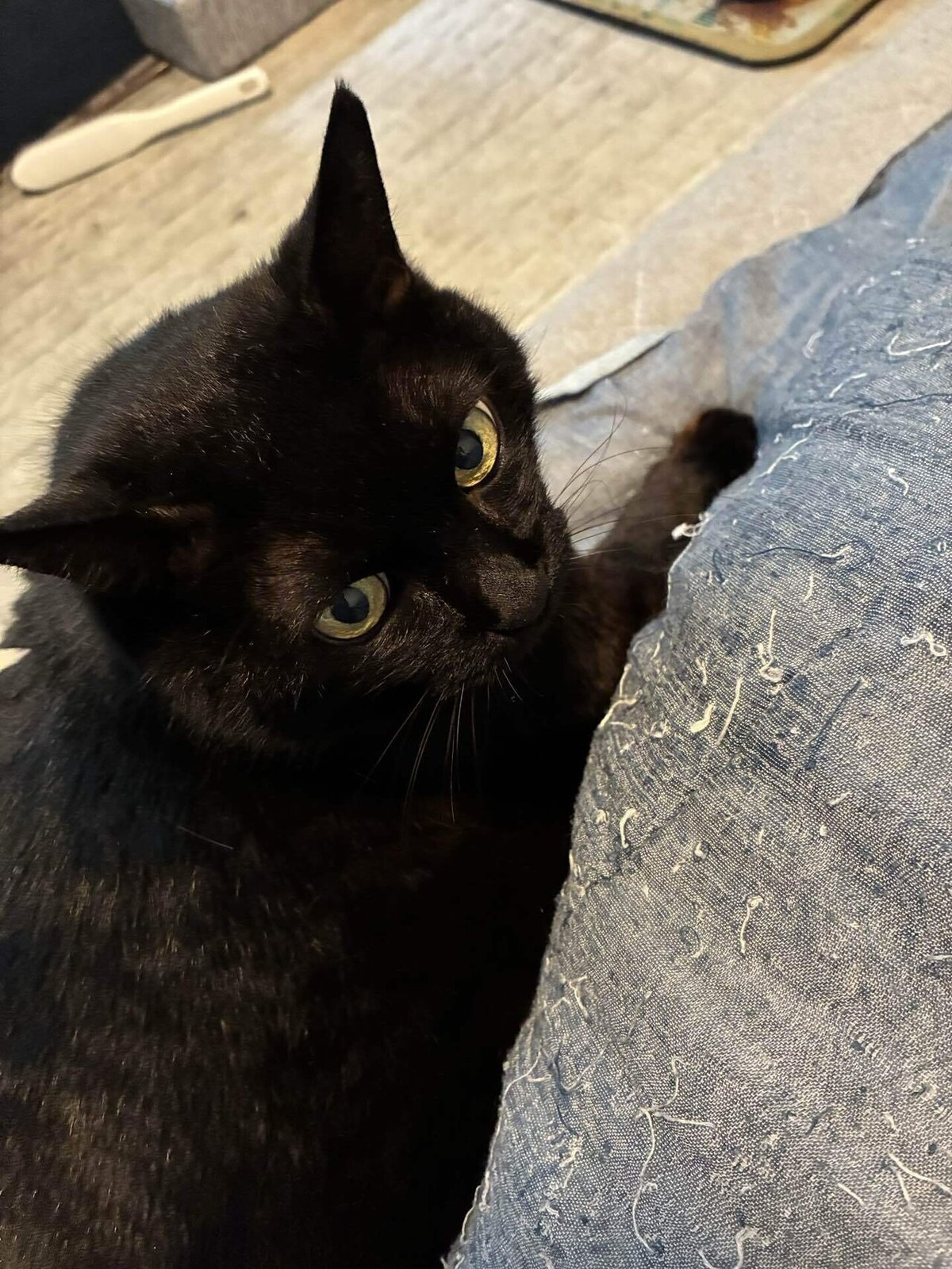 キーボードのふしぎ｜unitason