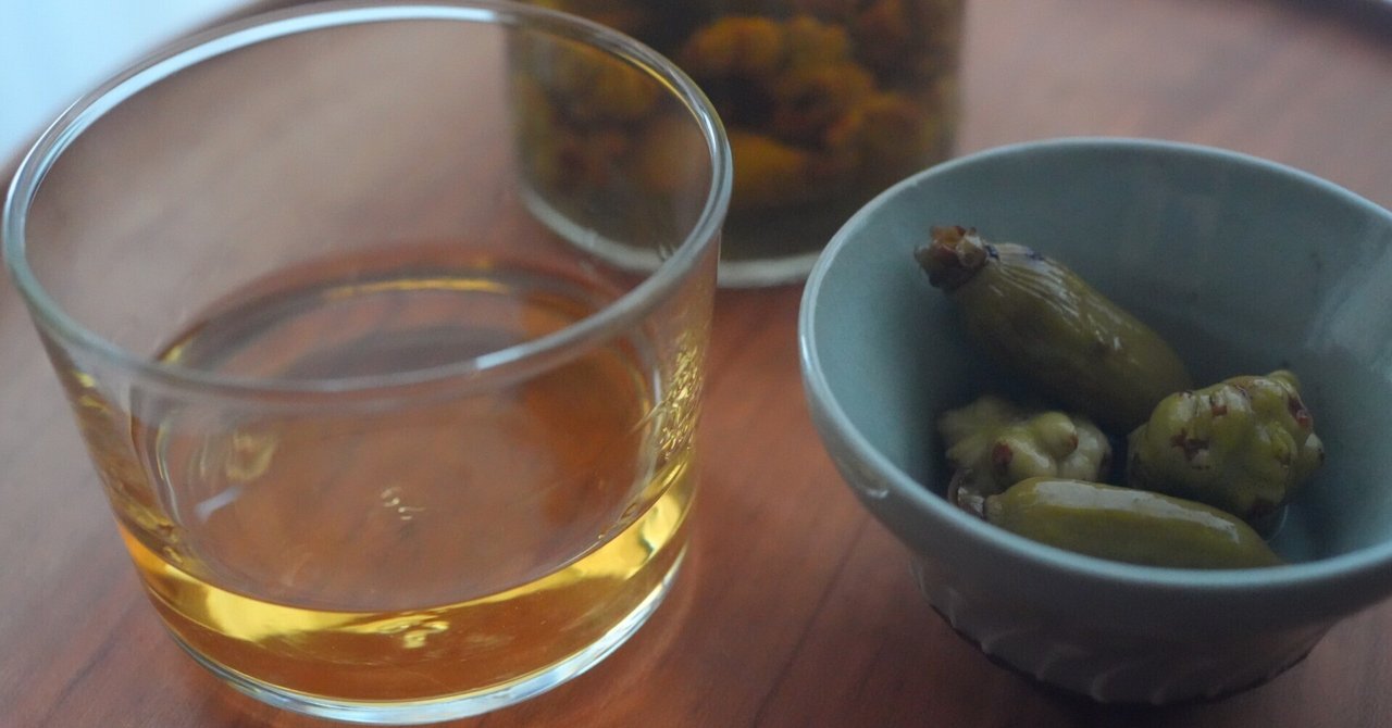 食べれる草 #64 「マタタビ酒（試飲編）」｜わたらい