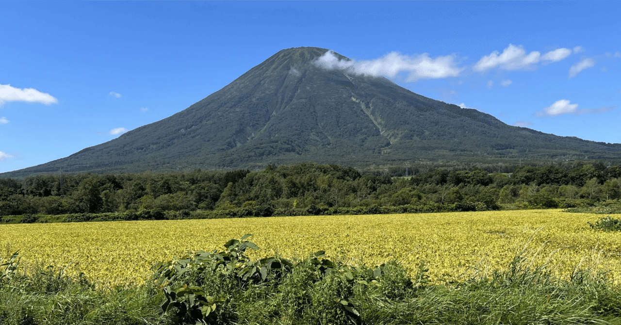【ビジネスモデル解体新書】『Carstay』はなぜ「地方の遊休資産」を「宝の山」に変えるのか？～インバウンド×コト消費×情報発信が駆動する、次世代の旅と地方創生～｜mochinoiro