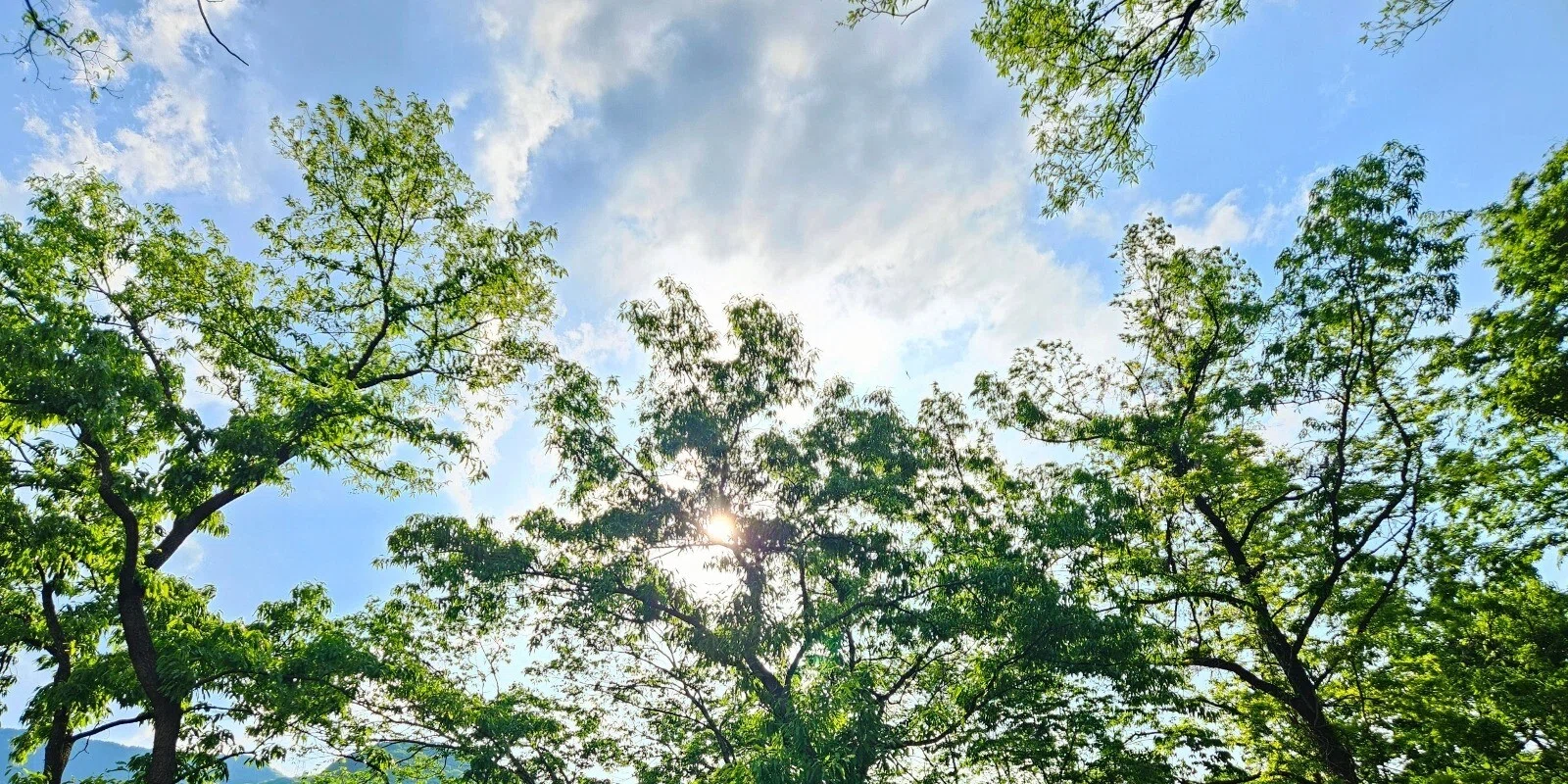 Garden Labo 花園｜note