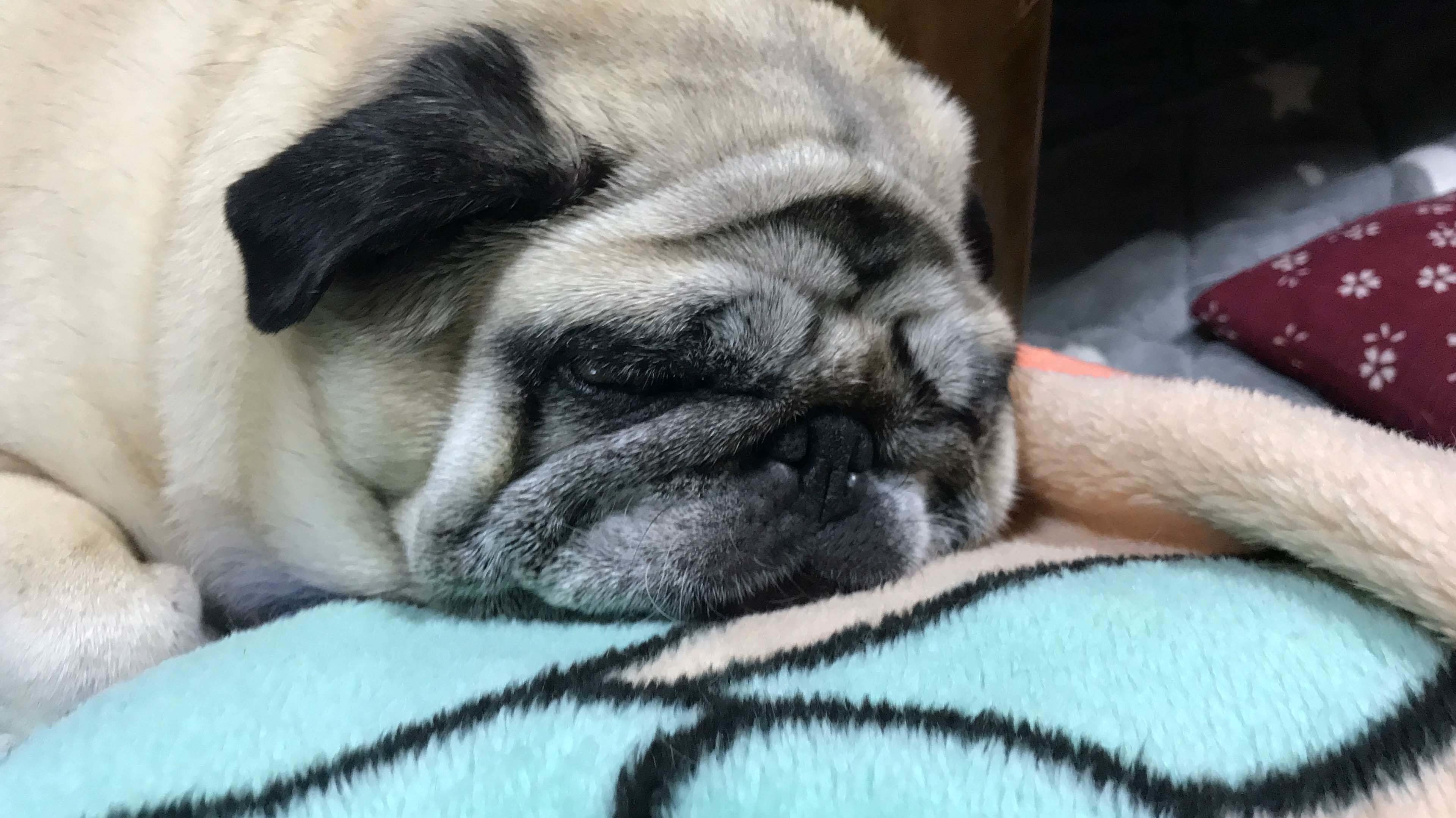 Kohei🇹🇭🇯🇵｜note