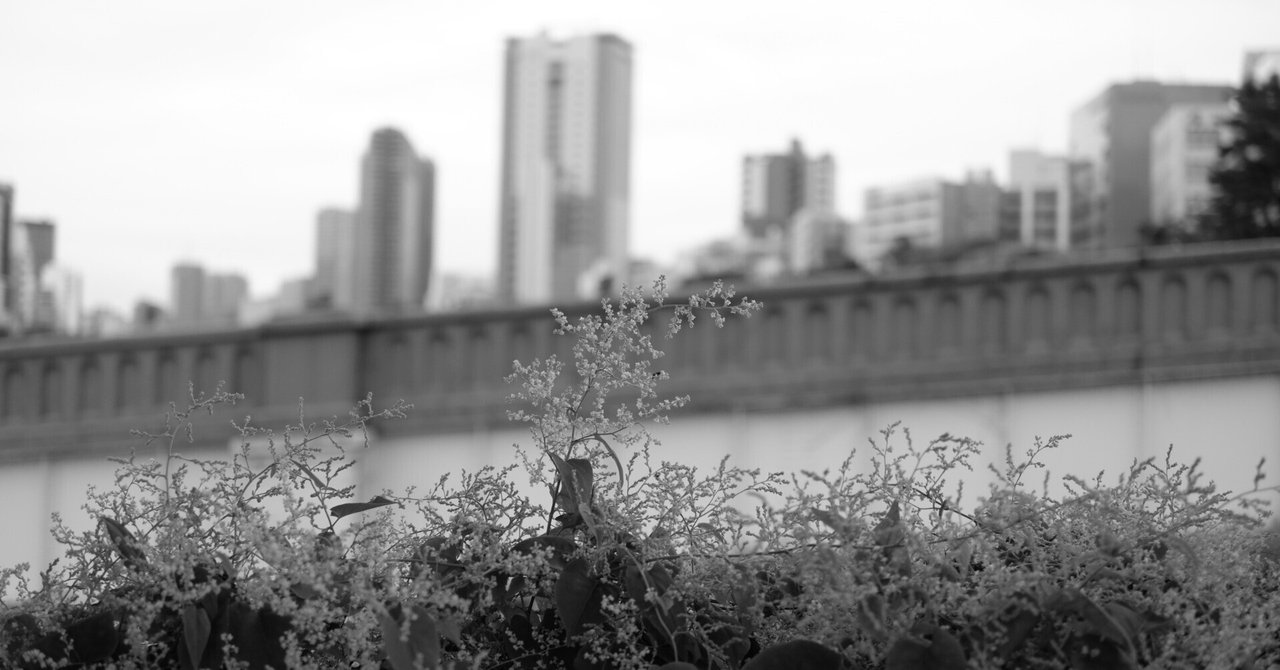 FUJIFILM X-E2と共に…3｜Tak Taira