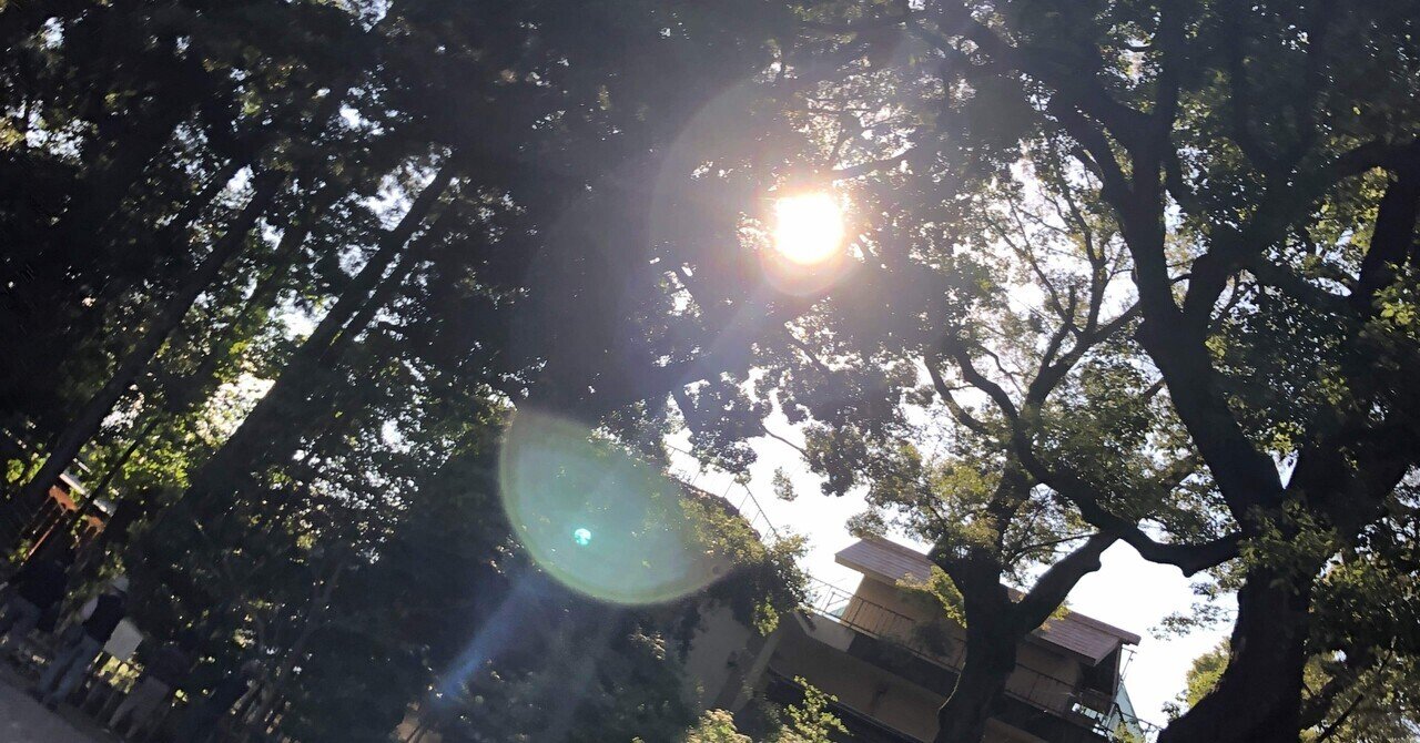 地球の意志｜nika