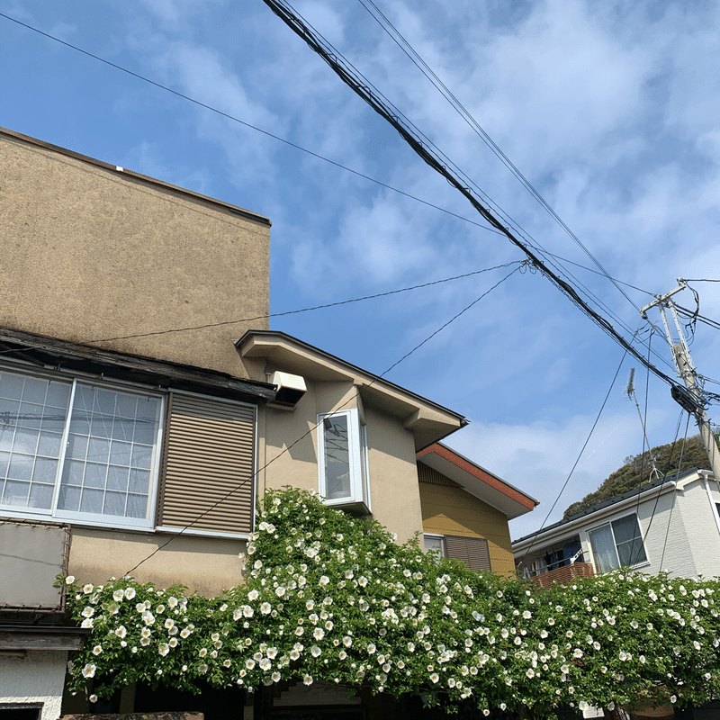 わたしとR&B。｜ヲカワ｜note