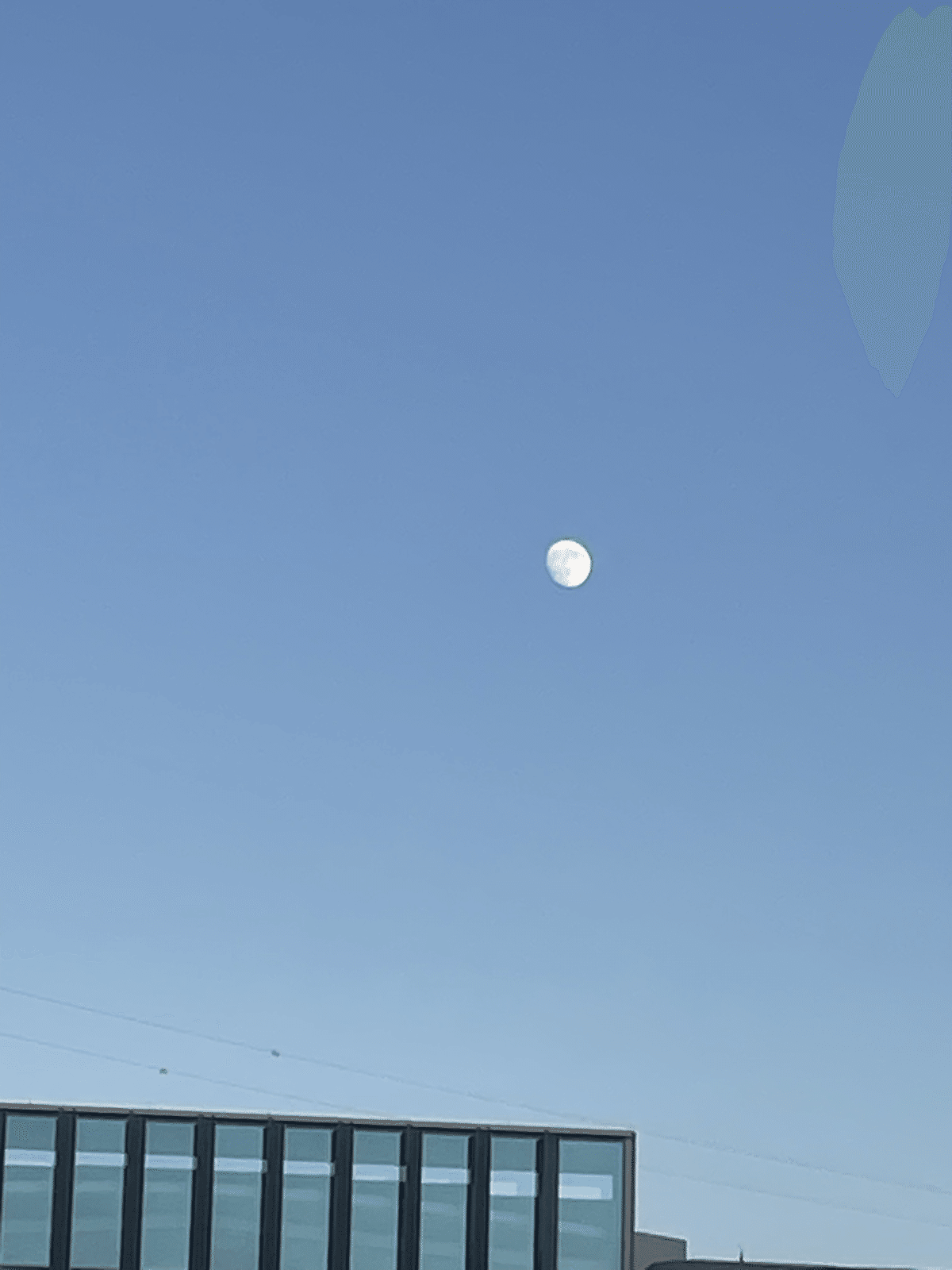 海月 解説｜fomp