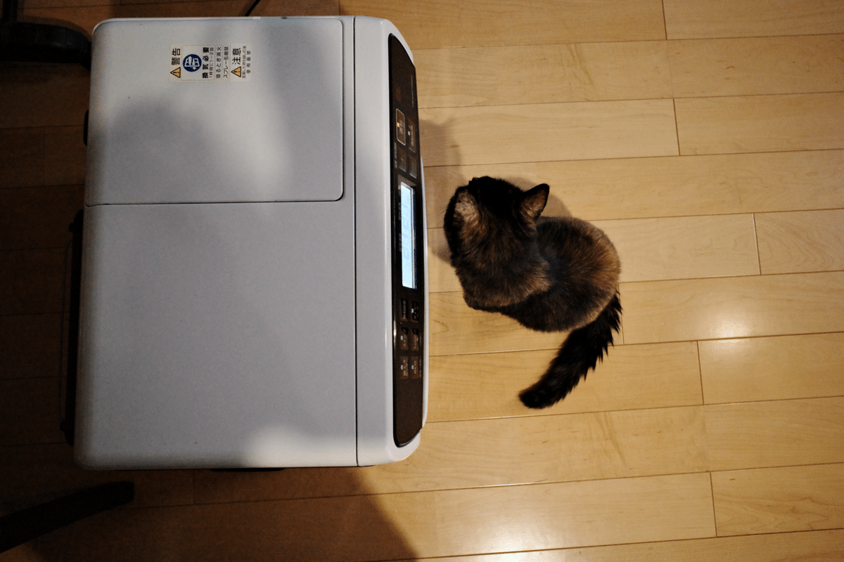 写真と日記11/3〜11/9｜ASA