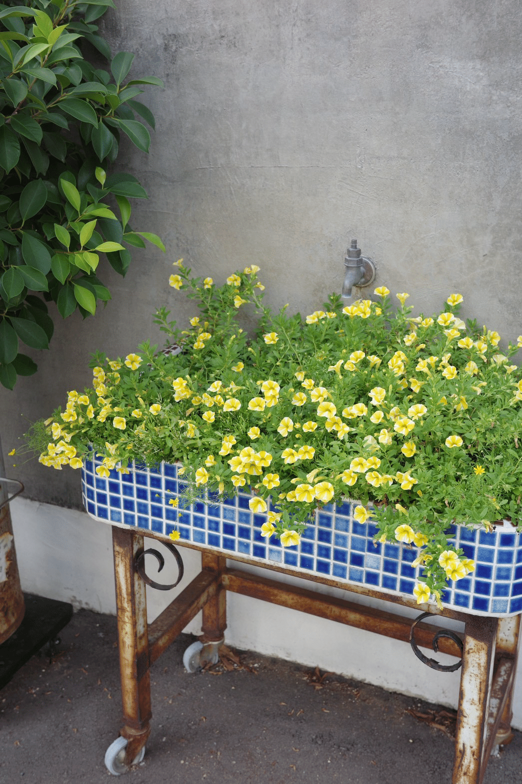 自己紹介｜26歳｜弁護士秘書｜ISFP｜日常｜仕事｜読書｜はじめてのnote｜iro