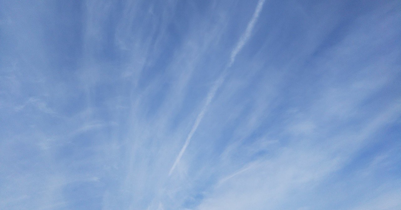 『ボーンブロス』とは？ メンタルを整えてくれるスープの紹介｜comfat@豆腐メンタル