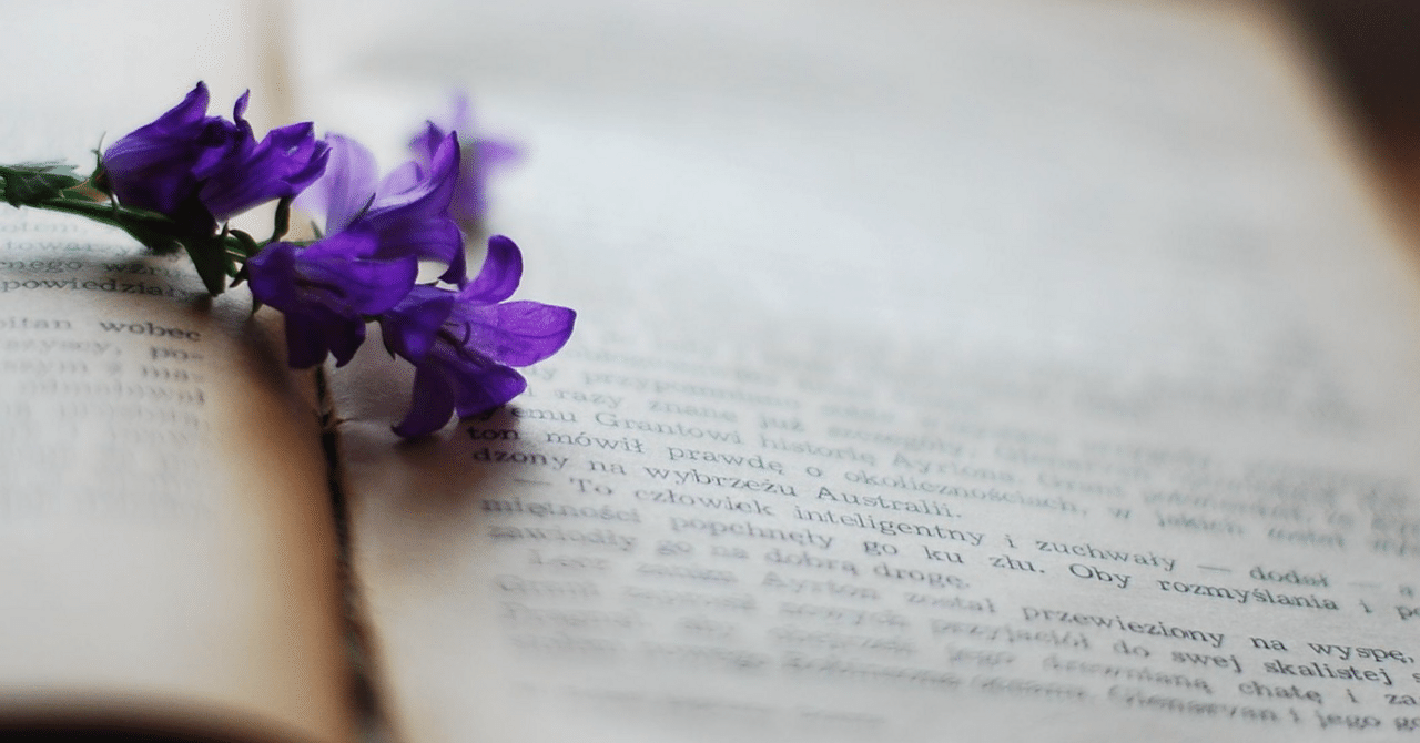 🌸来週11/20(木)ハープ奏者・HaRuRuさんとのコラボレーションいたします☆。.:＊・゜☆。.:＊・゜｜小島香奈子の朗読ライブラリー・note版