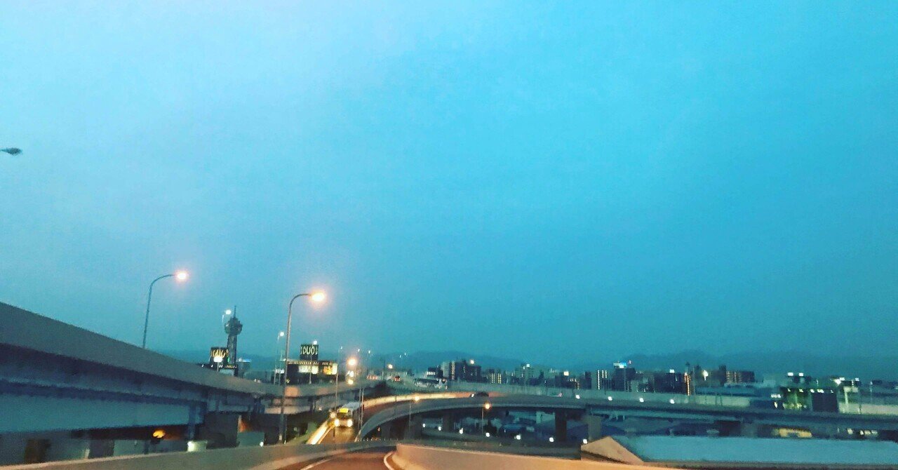 Z-Prime: The Theory of Institutional SorceryThe Dual Structure of Life ...