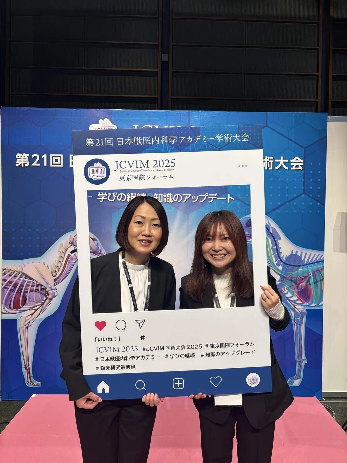 2025年上半期を振り返る。｜ほのか