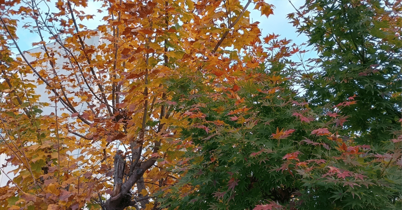 3468万円になった総資産｜だれにも話しにくいこと｜FIREなど