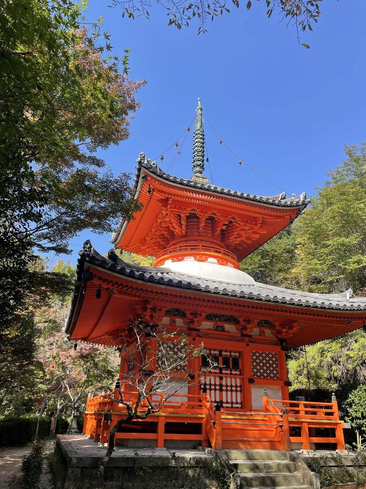 うれしい ＆ ヨロコビ｜千穂 - cuore