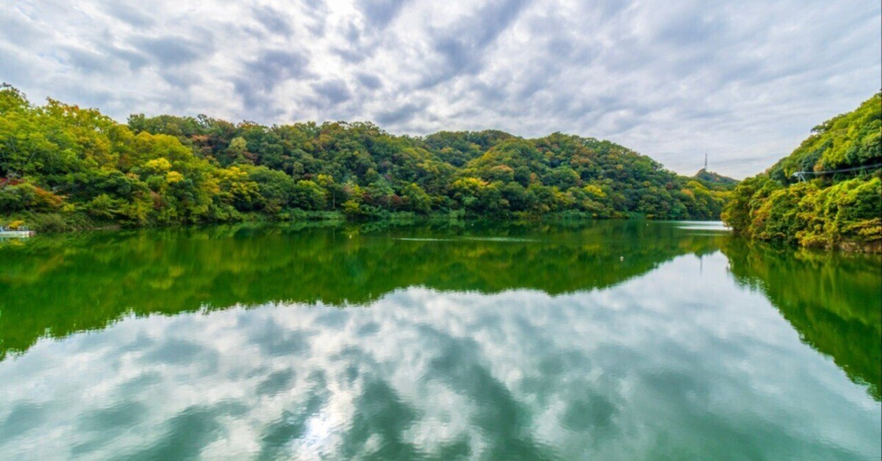 2025年11月12日 写真と撮影、どっちが大事か | カニバーガー｜Another