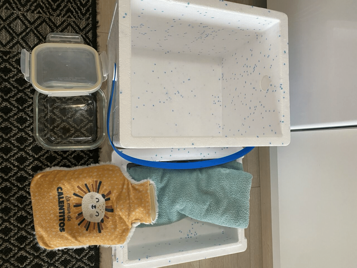 フィンランドで納豆を手作りする人生になるとは思わなかった｜Shunta / フィンランドで国際結婚