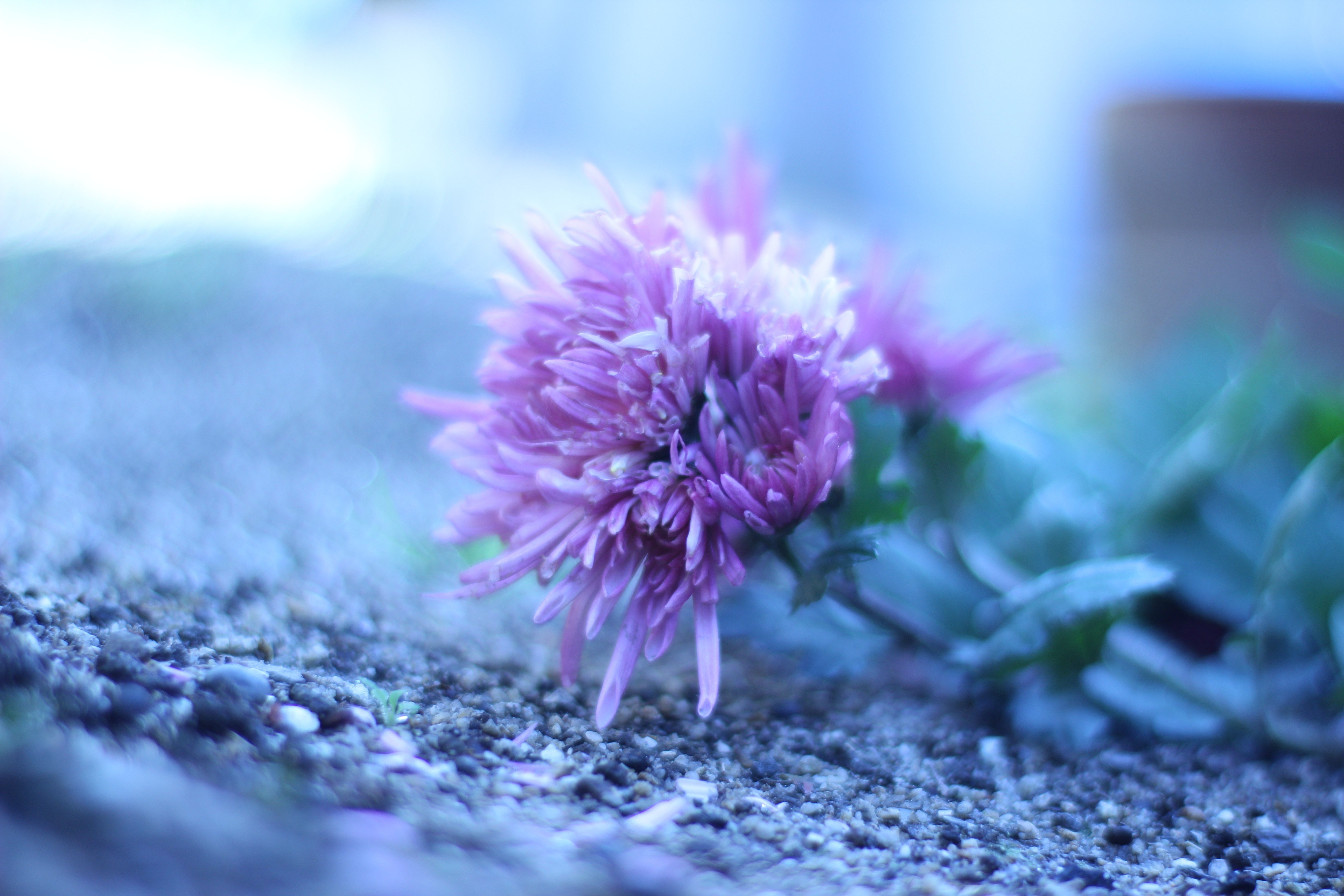 飛んでみた。小さく揺れた。｜徳久 望 (nozomi tokuhisa)｜note