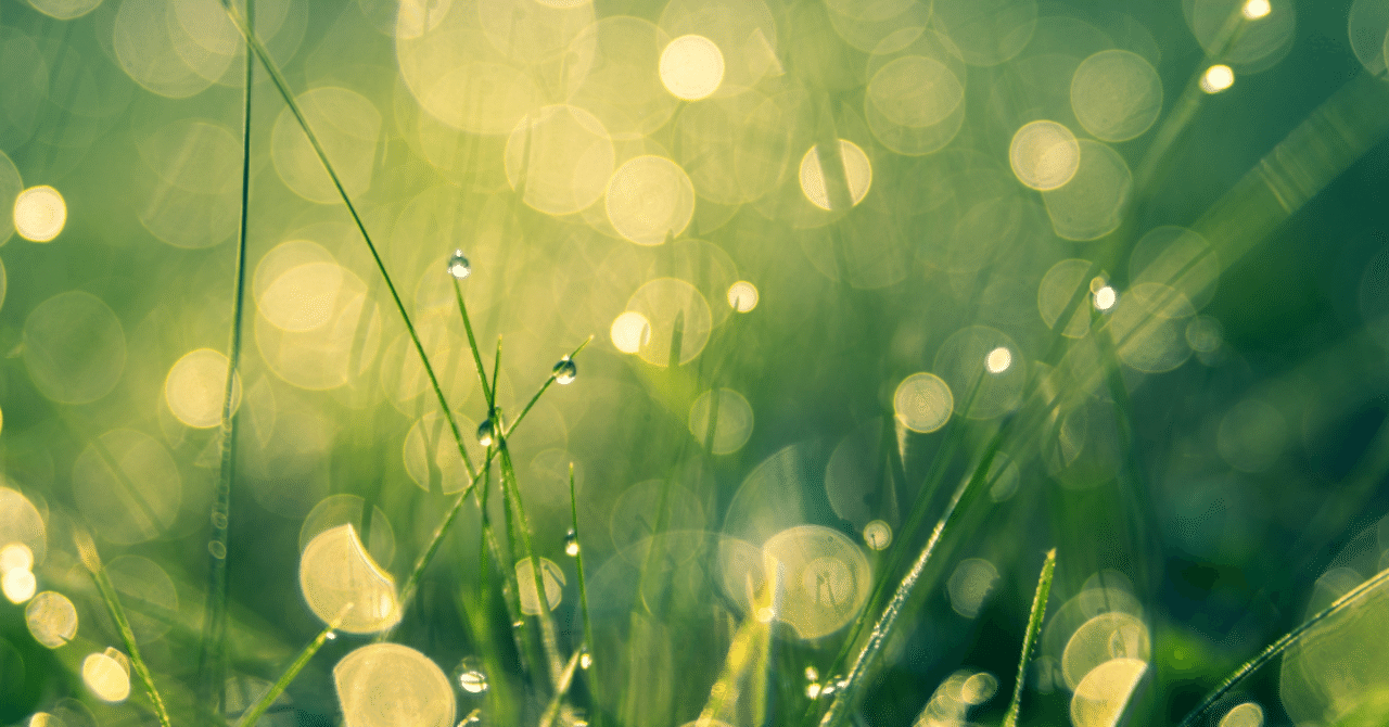 60歳を過ぎても、未来に期待していいですか？～その答えは“静かなYES”でした。｜けいこママ