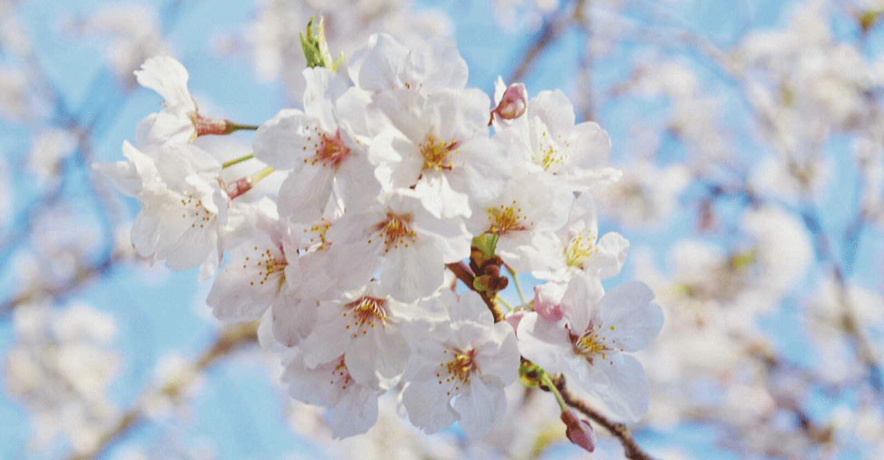 300字SS『彼女を想う』｜まつやちかこ｜note