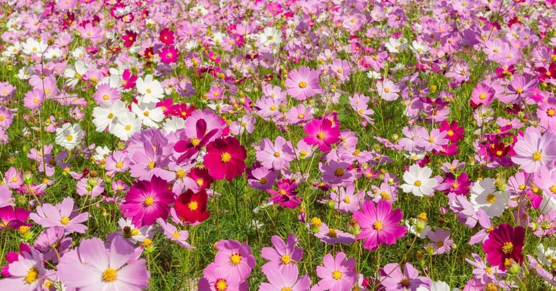 yuri@わたし日和｜note