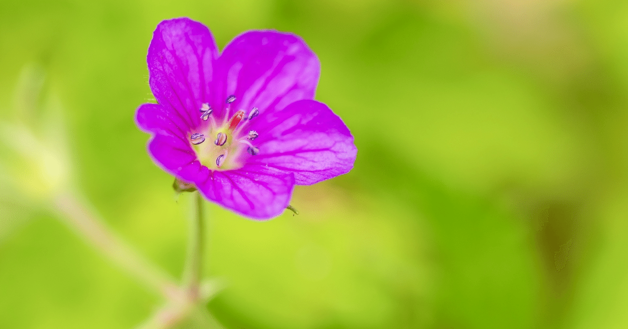 筆子【それ、いつまで持ってるの？】｜tetsuya