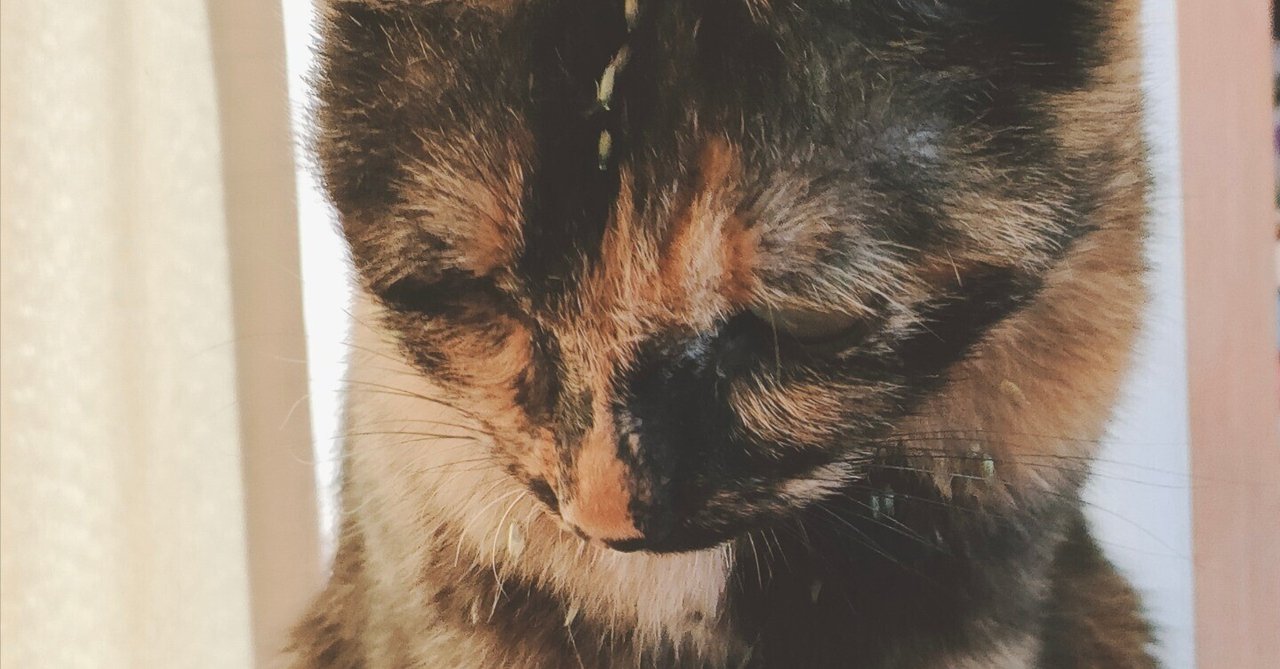 病院に行って損した話 つぶやき｜みどりいろ